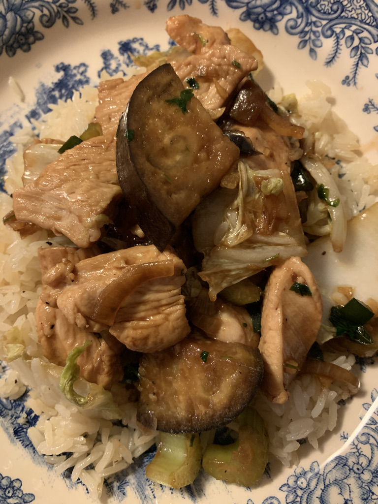 Aasiapärane kalkuni baklažaani roog - Figuurisõbrad